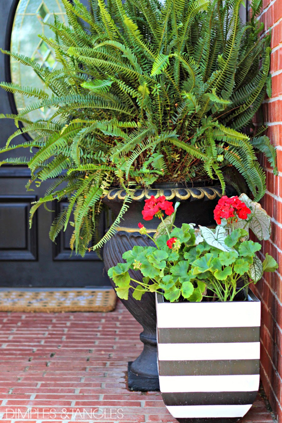 Decorating a Small Front Stoop | Jackie Syvertsen